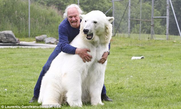 Yes, That Is A 800 Pound Polar Bear. Watch What The Bear Does To Him After.